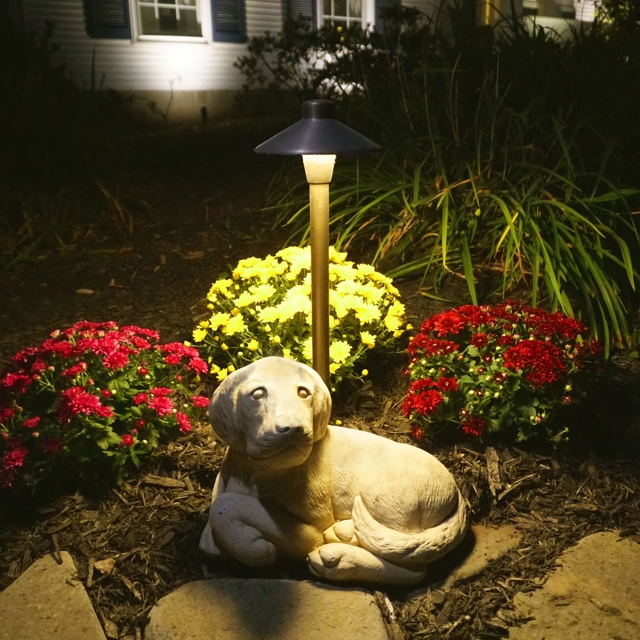 Rochester Outdoor Lighting Installation | Outdoor Lighting Perspectives®