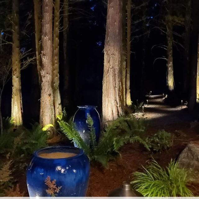 Outdoor Lighting in North Puget Sound | Outdoor Lighting Perspectives
