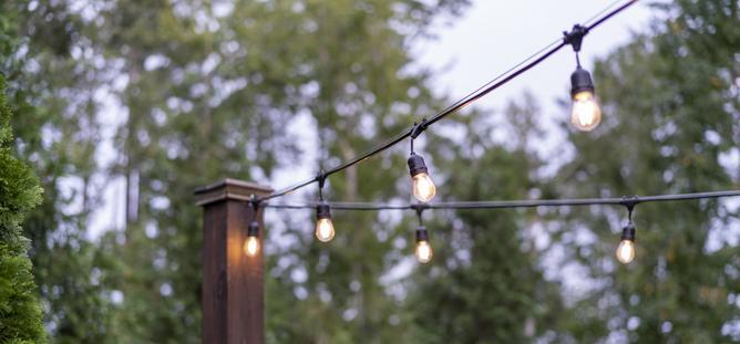 Apex, NC Landscape Lighting Guide: Illuminate Your Spring with Elegance
