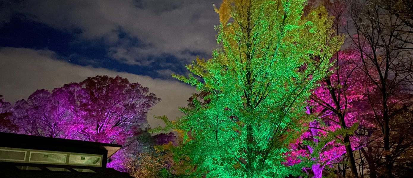 Crystal Lake, IL, Never Stops Shining with Landscape Lighting Installations